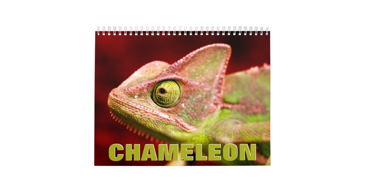 Chameleon Wall Calendar | Zazzle