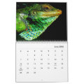 Chameleon Wall Calendar | Zazzle