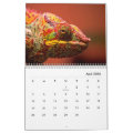 Chameleon Wall Calendar | Zazzle