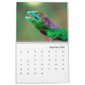 Chameleon Wall Calendar | Zazzle