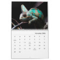 Chameleon Wall Calendar | Zazzle