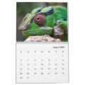 Chameleon Wall Calendar | Zazzle