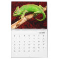 Chameleon Wall Calendar | Zazzle