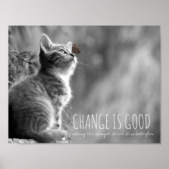 Change is good butterfly inspirational quote cat poster | Zazzle.com