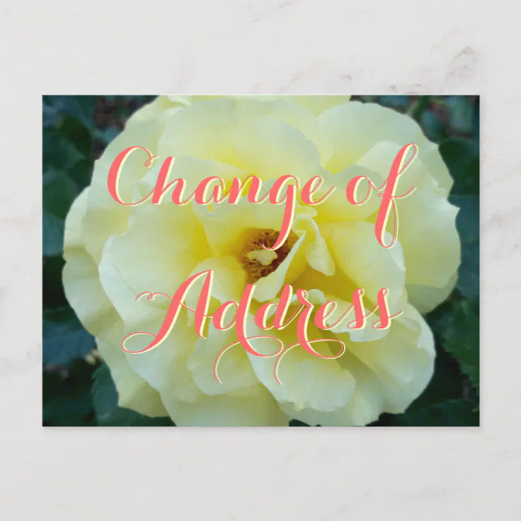 Change of address postcard with rose flower photo | Zazzle