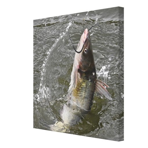 Channel Catfish Jumping Out Of The Water Canvas Print | Zazzle