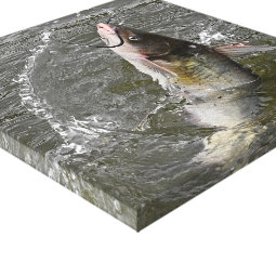 Channel Catfish Jumping Out Of The Water Canvas Print | Zazzle