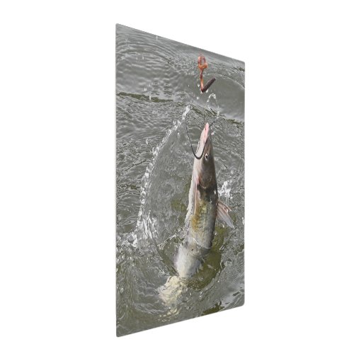 Channel Catfish Jumping Out Of The Water Metal Print | Zazzle