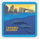 Channel Islands National Park Dolphins Square Sticker | Zazzle