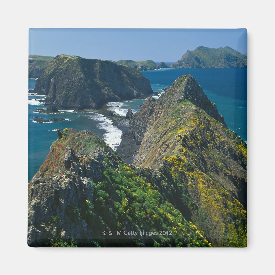 Channel Islands National Park, Southern Magnet | Zazzle