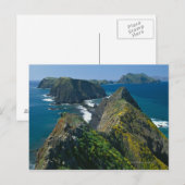 Channel Islands National Park, Southern Postcard | Zazzle