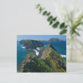 Channel Islands National Park, Southern Postcard | Zazzle