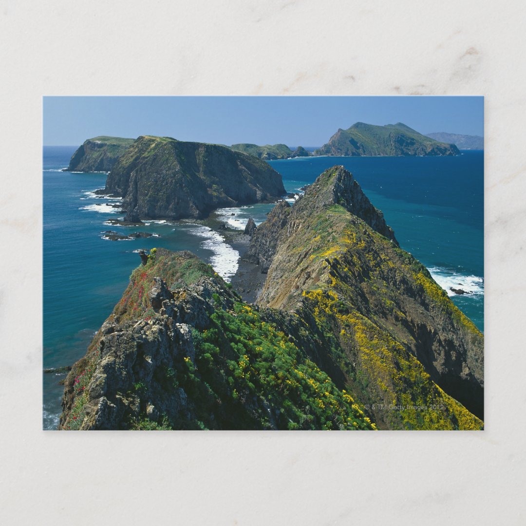 Channel Islands National Park, Southern Postcard | Zazzle