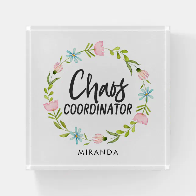 Chaos Coordinator Funny Paperweight | Zazzle