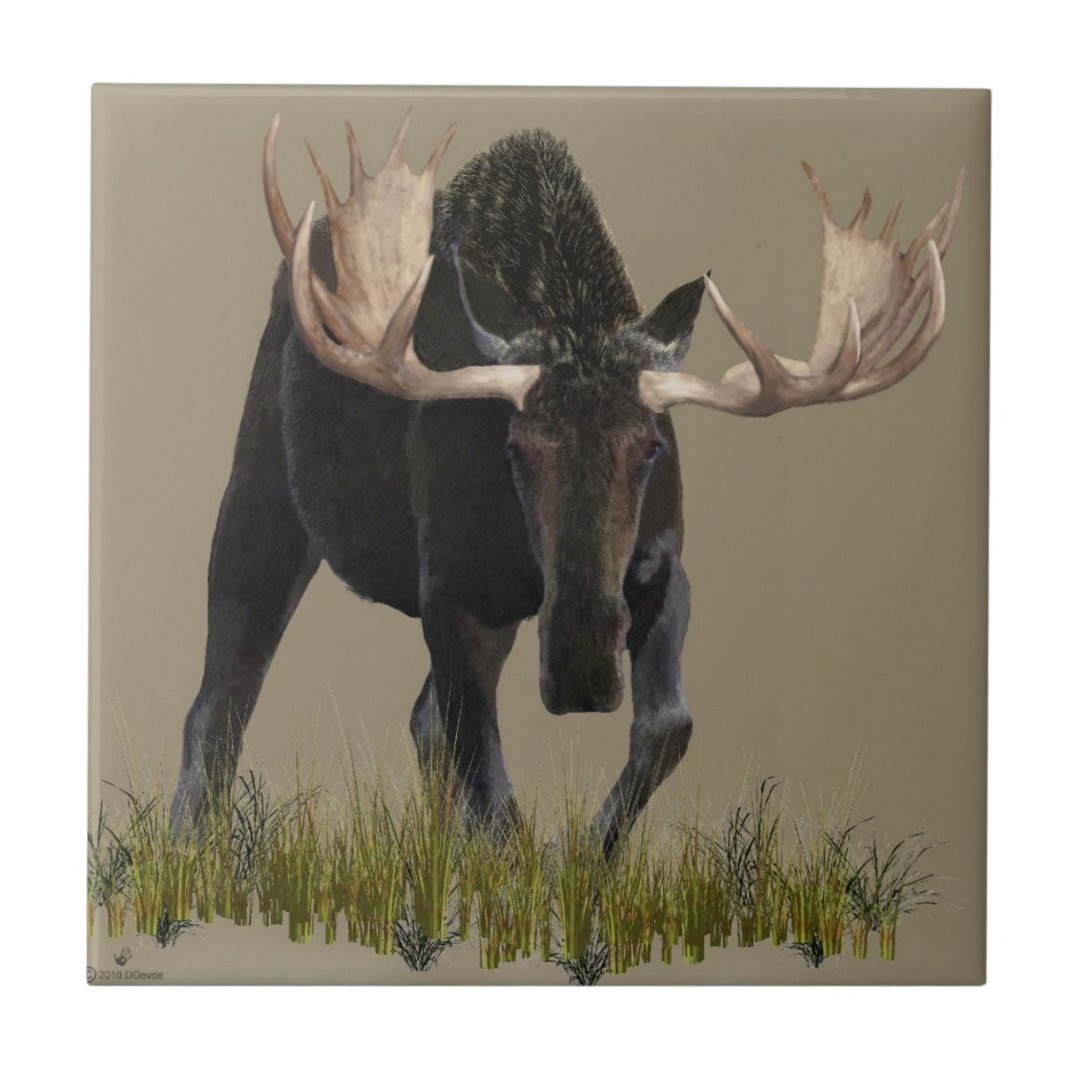 Charging Bull Moose Ceramic Tile | Zazzle