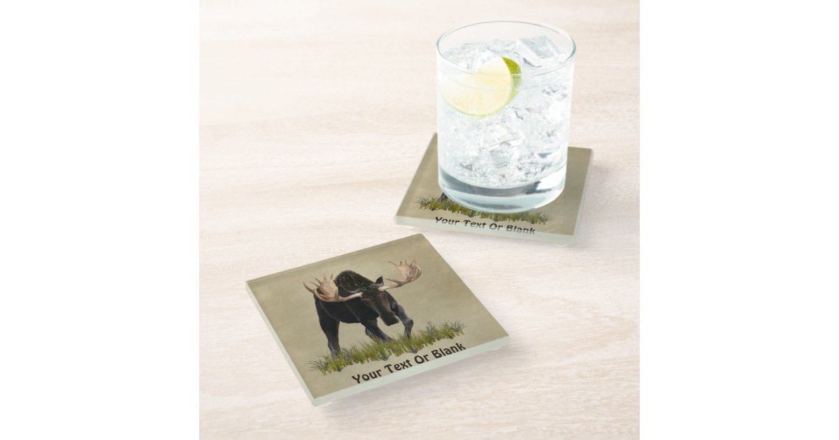 Charging Bull Moose On Old Paper Glass Coaster | Zazzle