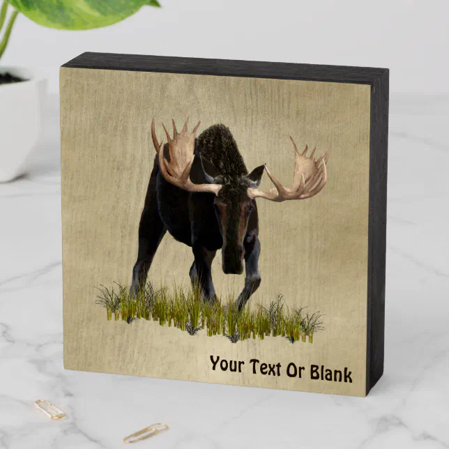 Charging Bull Moose On Old Paper Wooden Box Sign | Zazzle