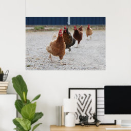 Charging Chickens Poster | Zazzle