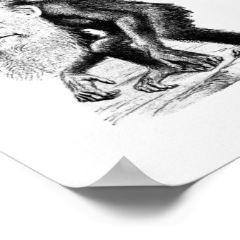 Charles Darwin As An Ape Poster | Zazzle