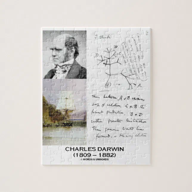 Charles Darwin (Darwin HMS Beagle Phylogenetics) Jigsaw Puzzle | Zazzle