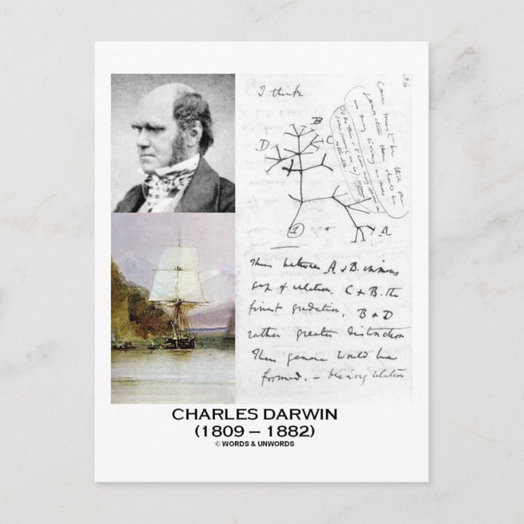 Charles Darwin (Darwin HMS Beagle Phylogenetics) Postcard | Zazzle