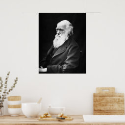 Charles Darwin Portrait Poster | Zazzle