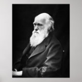 Charles Darwin Portrait Poster | Zazzle