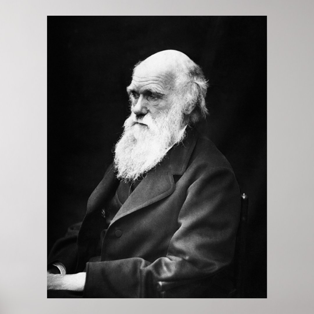 Charles Darwin Portrait Poster | Zazzle