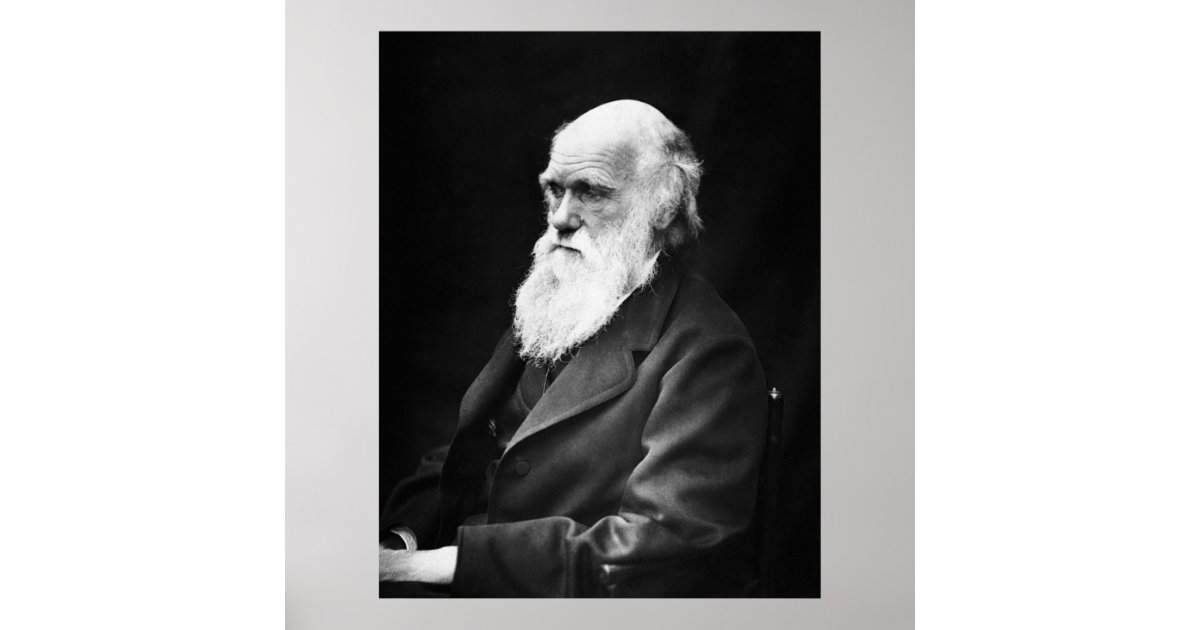 Charles Darwin Portrait Poster | Zazzle
