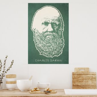 Charles Darwin Poster | Zazzle