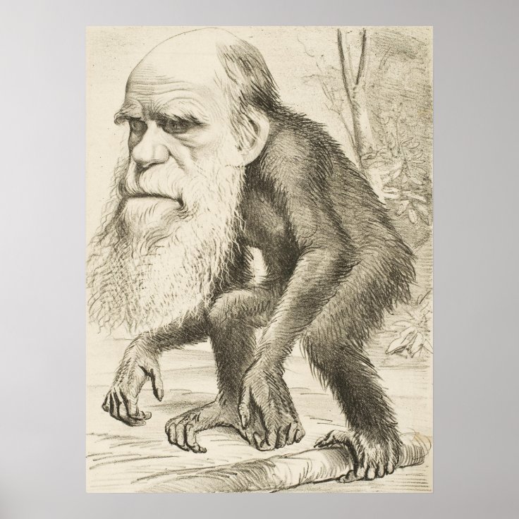 Charles Darwin Poster Zazzle