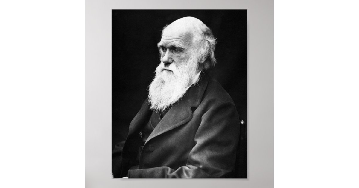 Charles Darwin Poster | Zazzle