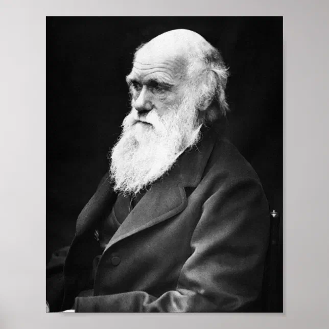 Charles Darwin Poster | Zazzle