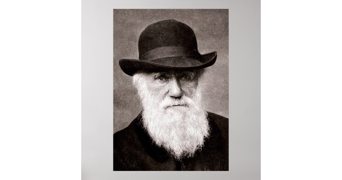 Charles Darwin Poster | Zazzle