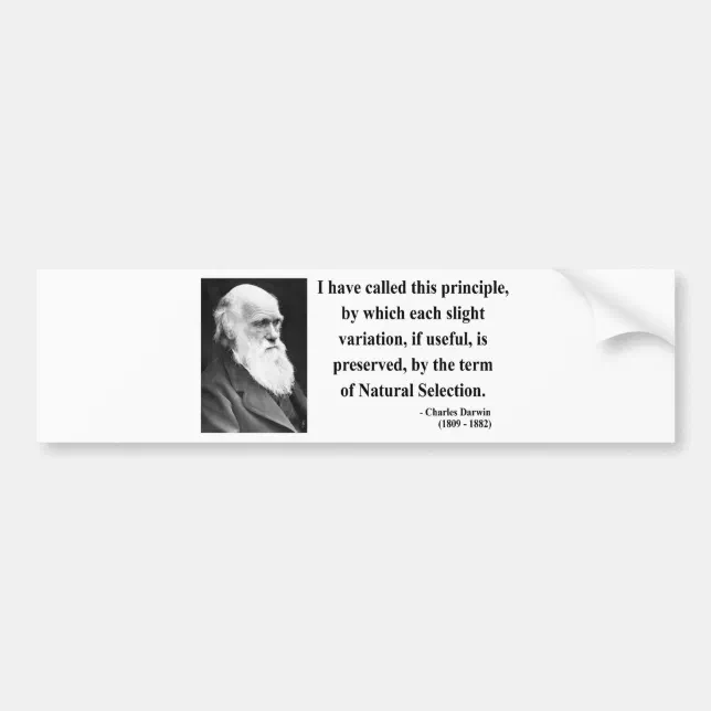 Charles Darwin Quote 6b Bumper Sticker | Zazzle