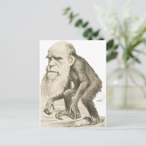 Charles Darwin the Monkey Man Postcard | Zazzle