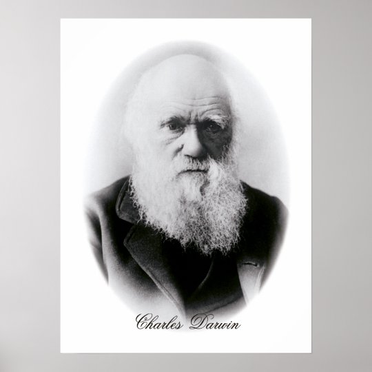 Charles Darwin Vignette Poster | Zazzle.com