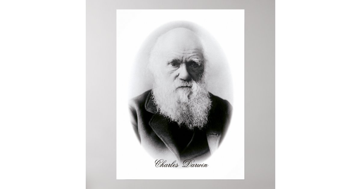 Charles Darwin Vignette Poster | Zazzle