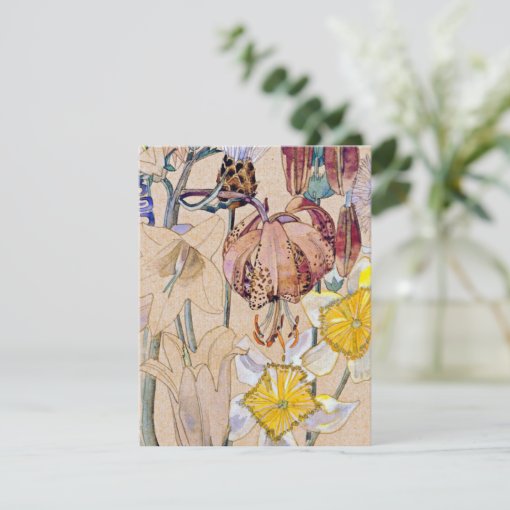 Charles Rennie Mackintosh - Mont Louis - Flower | Zazzle