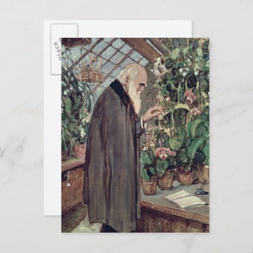 Charles Robert Darwin Postcard | Zazzle