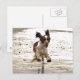 Charlie The Springer! Postcard | Zazzle