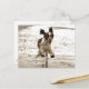 Charlie The Springer! Postcard | Zazzle