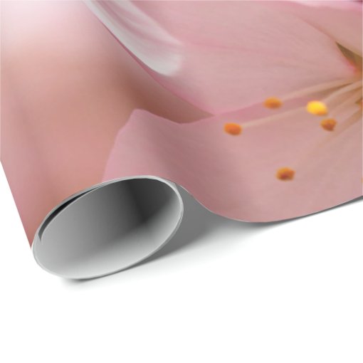 Charmin Sakura Flowers On Pink, Pink, Pink Wrapping Paper | Zazzle