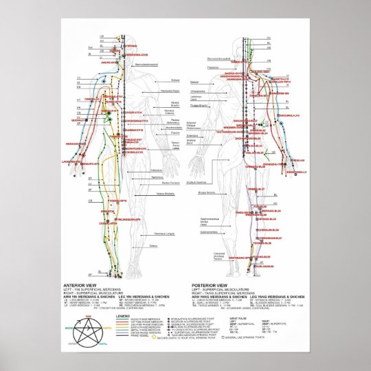 Chart of Human Meridians | Zazzle.com