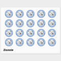 Chartered Accountants and Accountancy. Classic Round Sticker | Zazzle