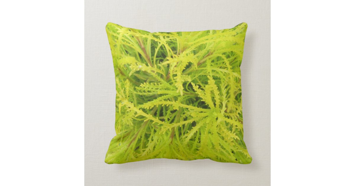 CHARTREUSE! Pillow | Zazzle.com