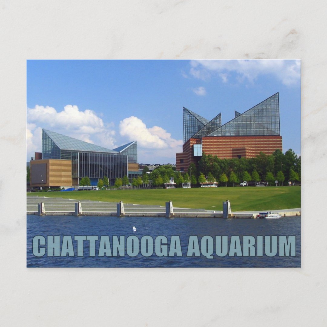 Chattanooga Aquarium Postcard | Zazzle