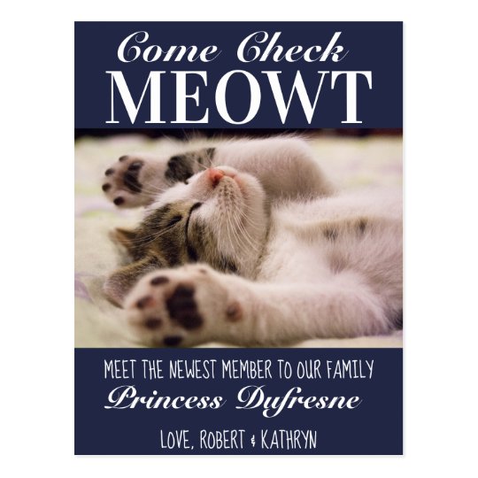 "Check Meowt" New Cat Announcement Blue Postcard | Zazzle.com