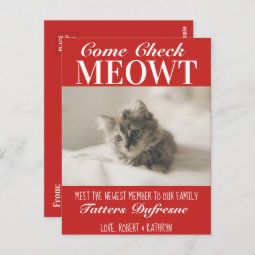 "Check Meowt" New Cat Announcement Postcard | Zazzle