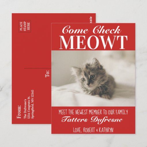 "Check Meowt" New Cat Announcement Postcard | Zazzle